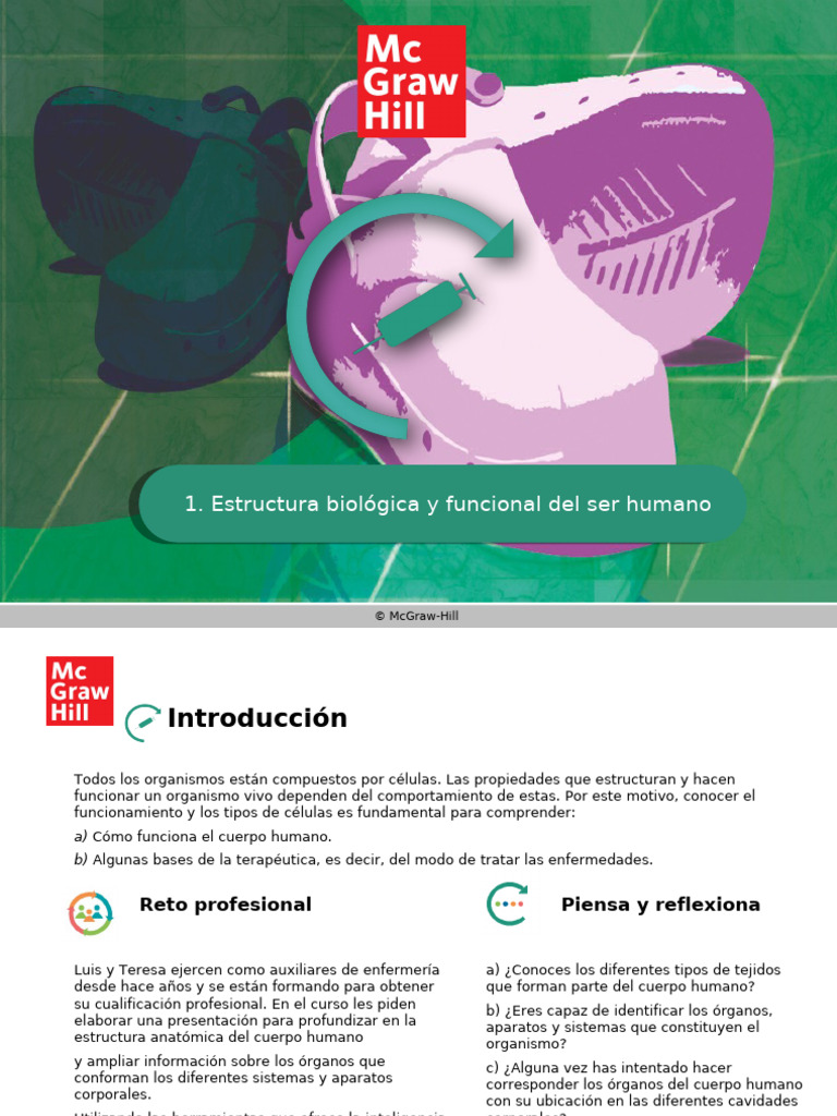 Estructura Biológica y Funcional Del Ser Humano U01 | PDF | Epitelio ...
