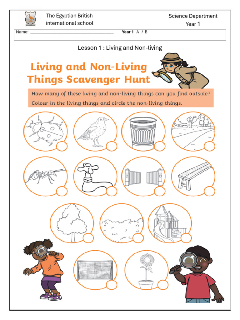 Activity Year 1 | PDF