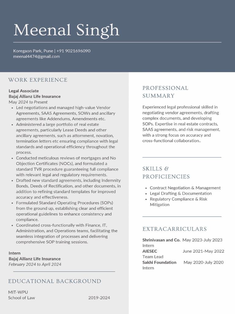 Digital Marketing Resume in Blue and Grey Colour Blocks Style | PDF