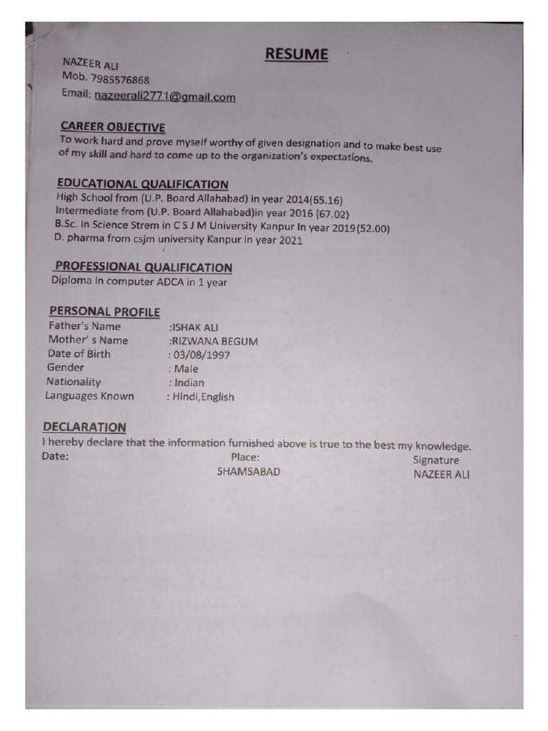 Nazeer Resum | PDF