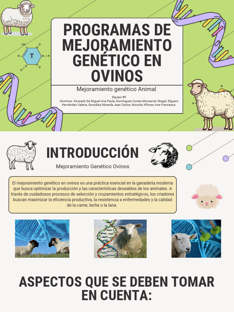Mejoramiento Genético en Ovinos: Estrategias y Resultados | PDF | Gene ...