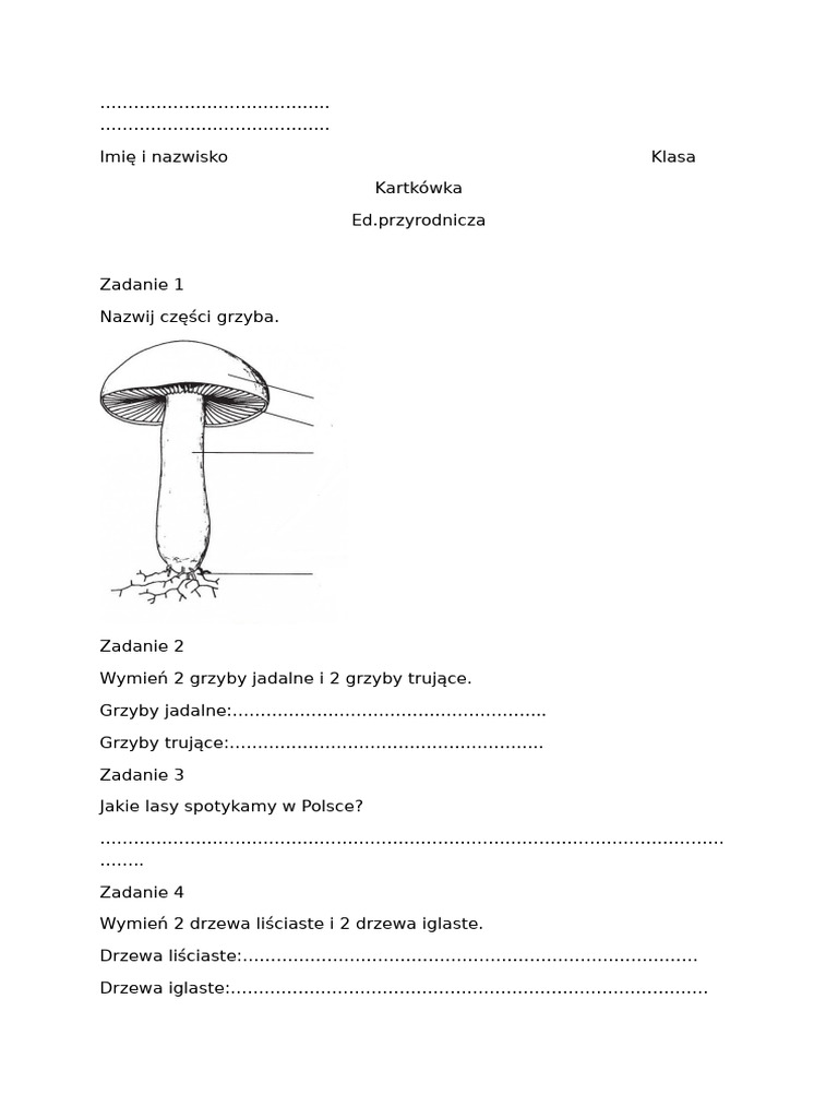 Ed - Przyrodnicza Grzyby Klasa 2 | PDF