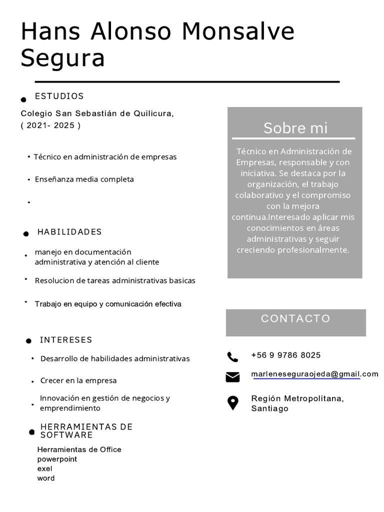 Curriculum Ejemplo | PDF