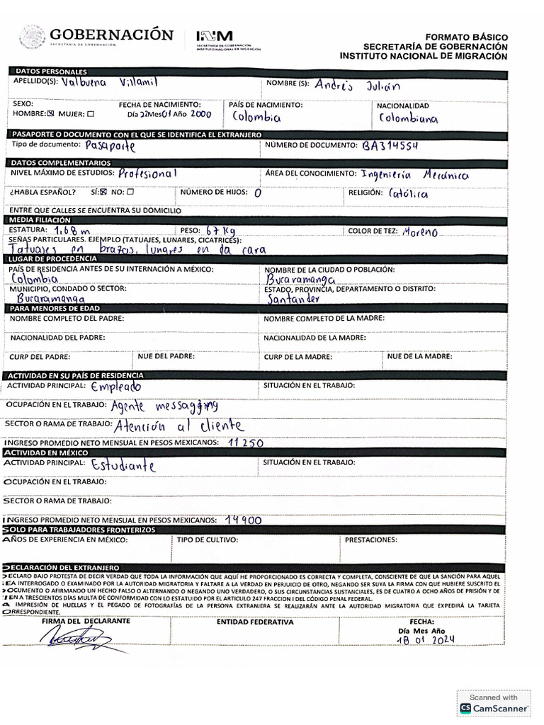 Formato Básico | PDF