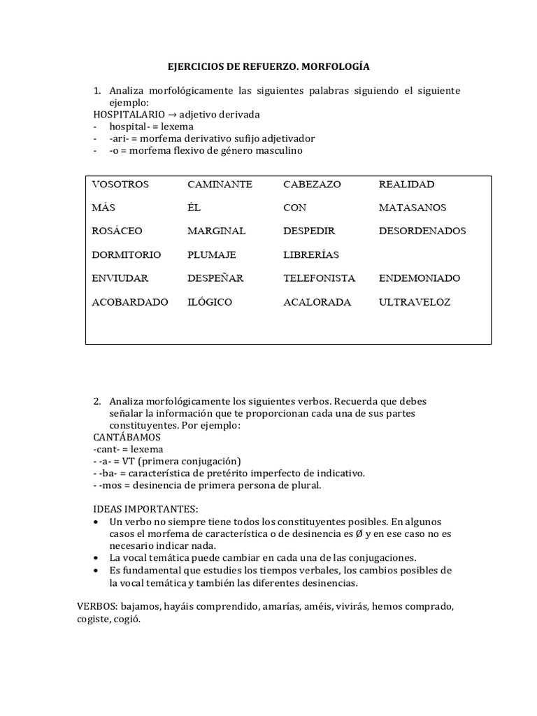 Morfol. 9 Ejercicios Segmentación y Clasificación | PDF