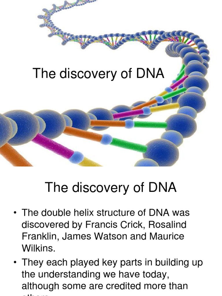 The Discovery of DNA | PDF | Francis Crick | James Watson