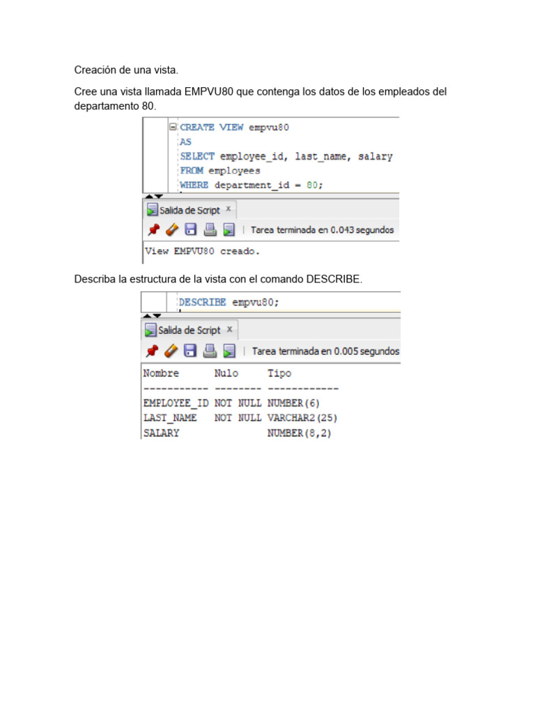 Práctica11 VistasOracle | PDF