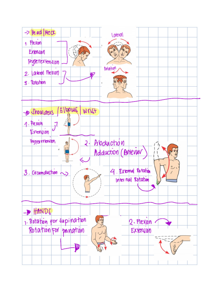 Retdem - Musculoskeletal System | PDF