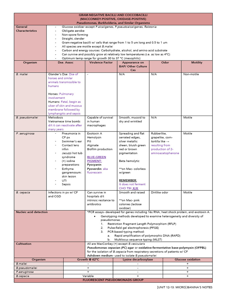 Gram-Negative Bacilli and Coccobacilli | PDF | Pseudomonas Aeruginosa ...