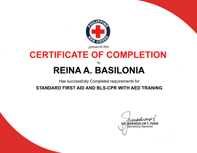 Red Cross | PDF