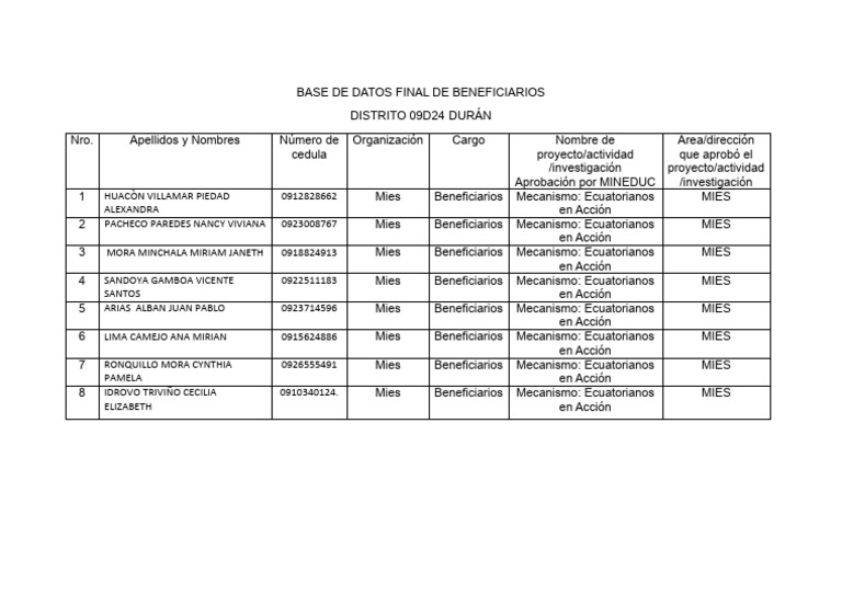 BASE DE DATOS FINAL DE BENEFICIARIOS (Lleno) | PDF