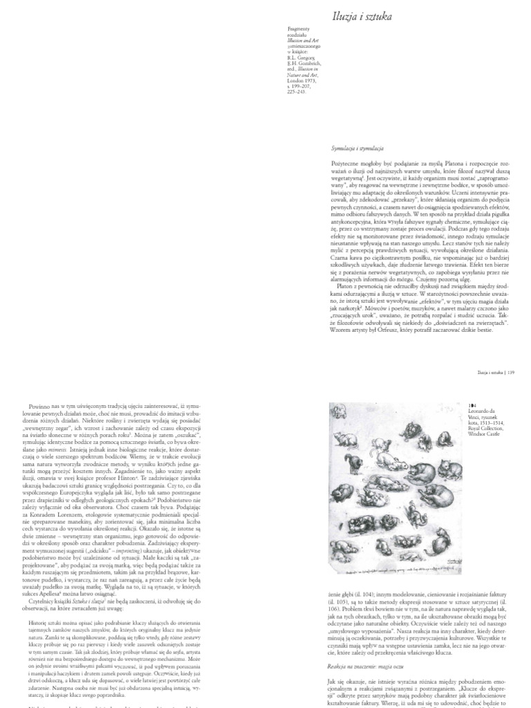 Gombrich Iluzja | PDF