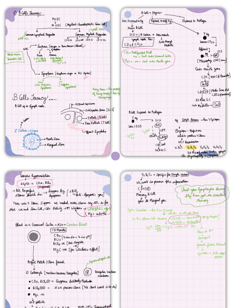 WBC Disorders | PDF