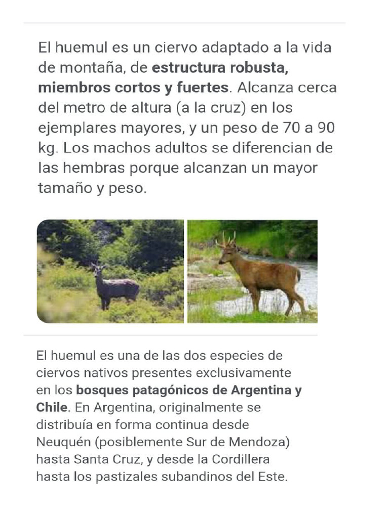 Huemul | PDF | Zoología