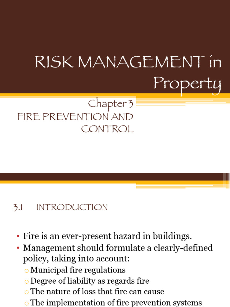 Fire Prevention and Control Strategies | PDF | Fire Safety | Fires