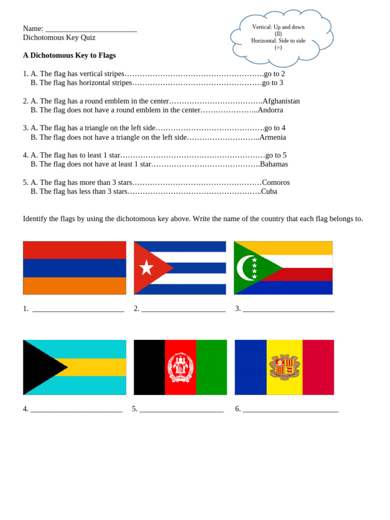 classification & dichotomous key quiz | PDF | Flag | Biological ...