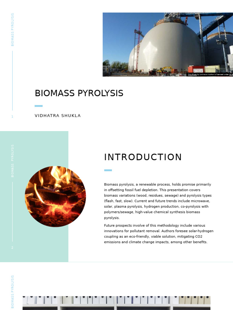 Biomass Pyrolysis Paper Summary | PDF | Pyrolysis | Cellulose