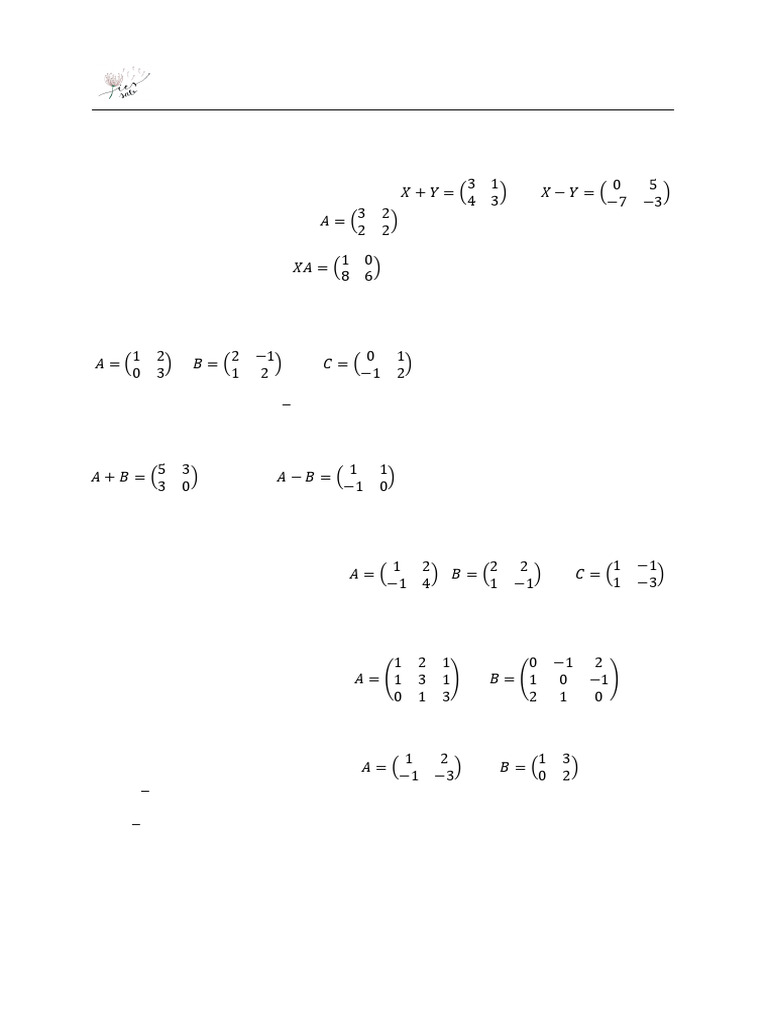 PROBLEMAS PAU - Matrices para Practicar Cara Las PAU | PDF | Matriz (Matemáticas) | Funciones y ...