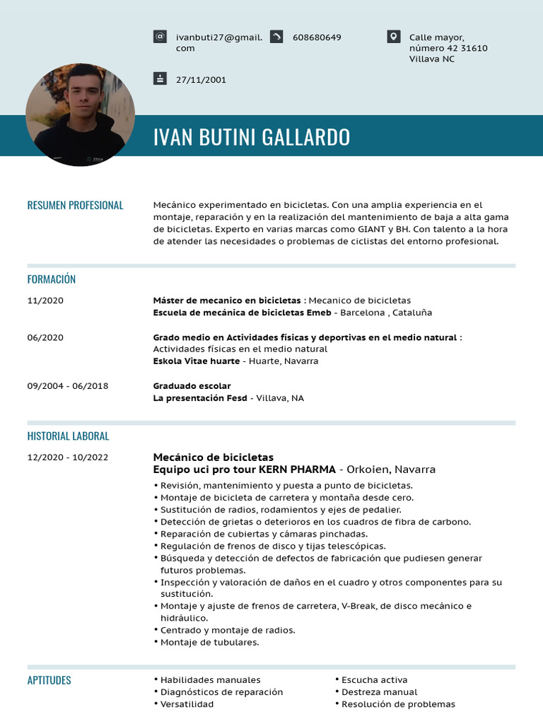 Ivan Butini Gallardo CV | PDF