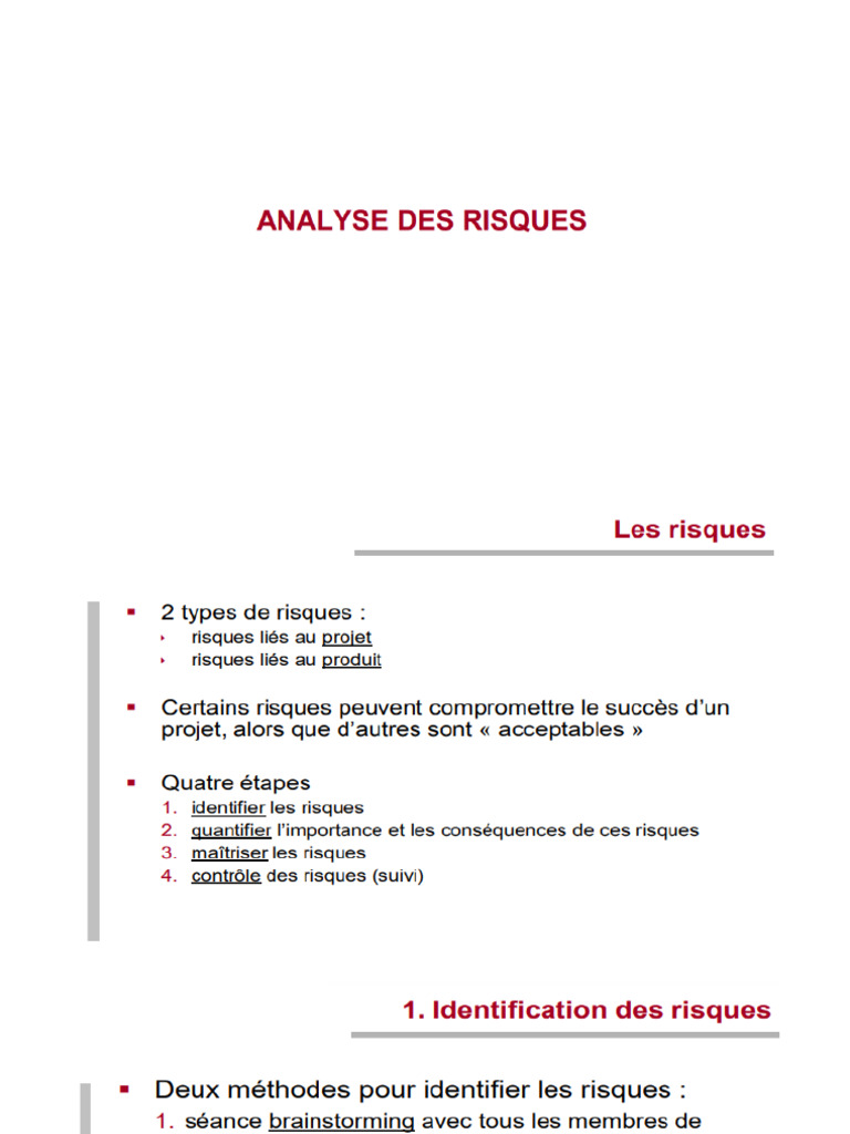 Master TP Cours Analyse Des Risques | PDF