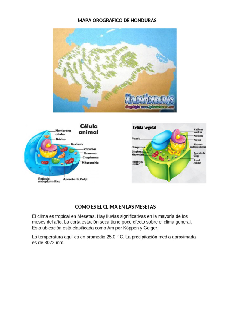 Mapa Orografico de Honduras | PDF