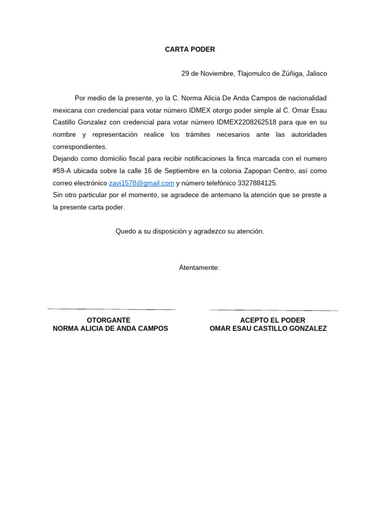 Carta Poder Simple Editable PDF | PDF