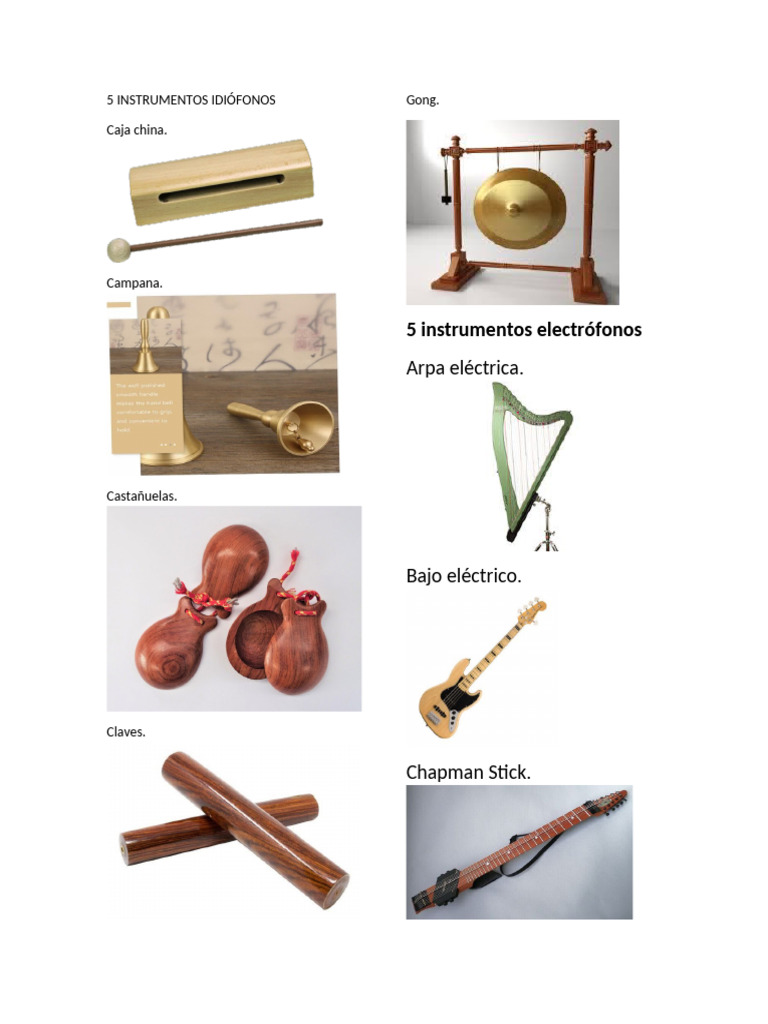 5 Instrumentos Idiófonos | PDF
