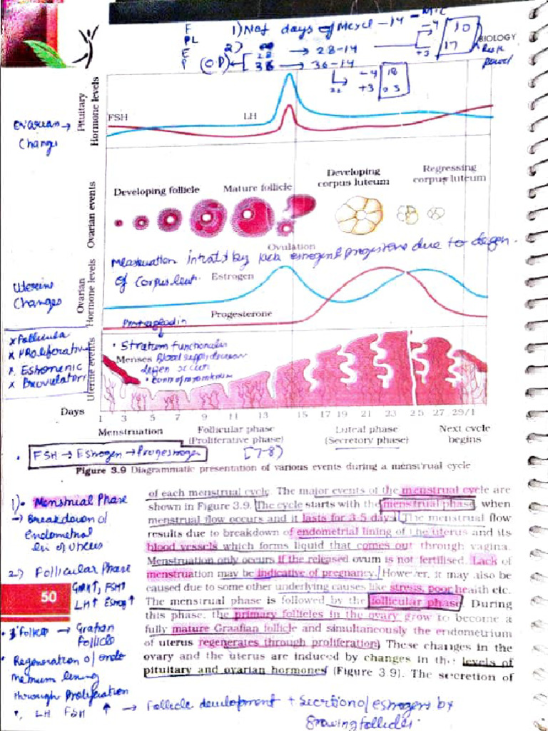 Human Reproduction | PDF