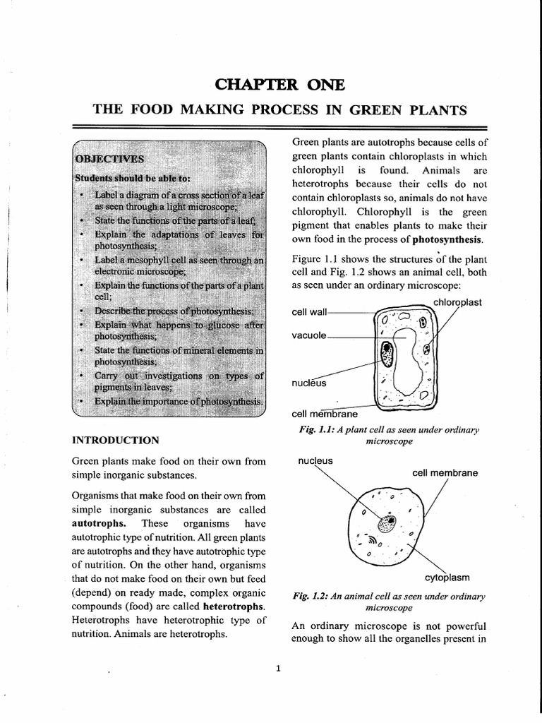Oyimbo 1-48 | PDF | Photosynthesis | Stoma