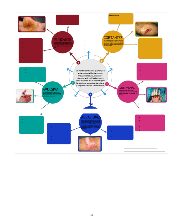 Mapa Conceptual de Heridas | PDF | Herida | Especialidades Medicas