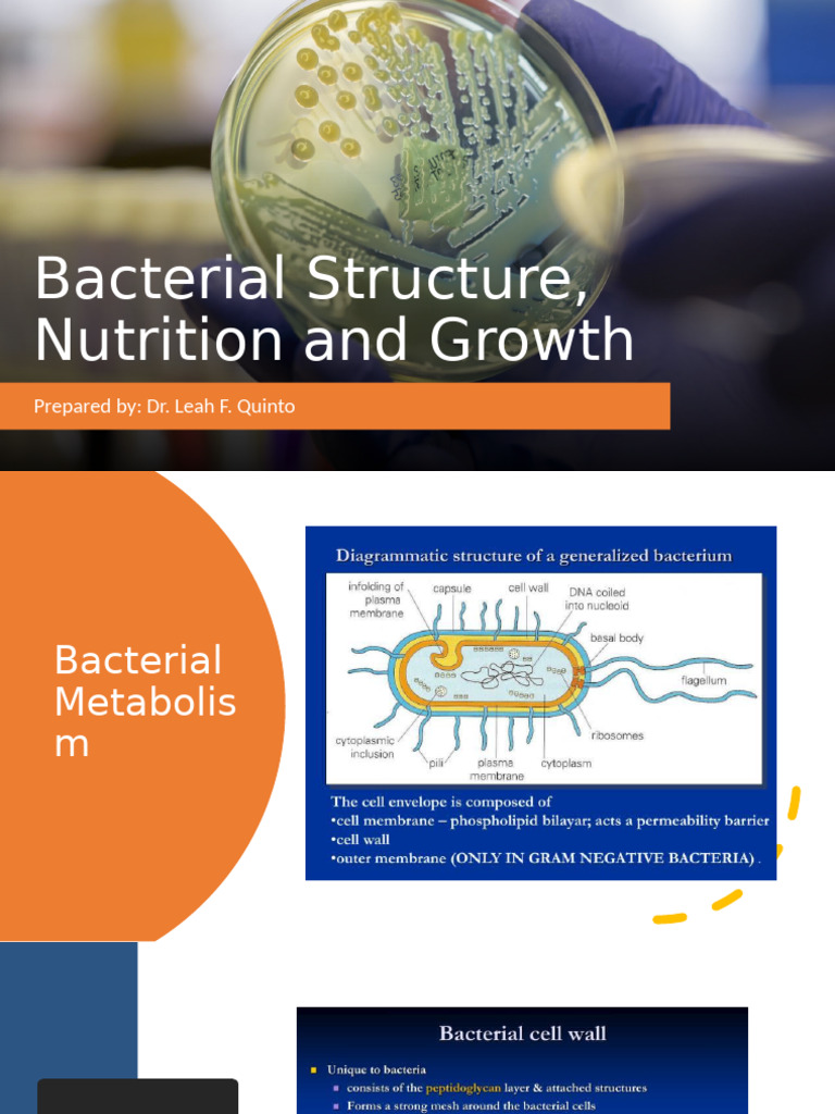 Bacterial Structure, Nutrition and Growth | PDF