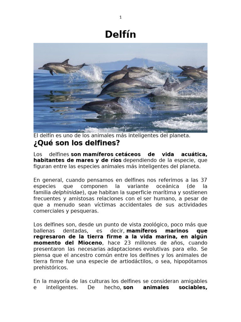 Información sobre los delfines para niños | PDF | Zoología