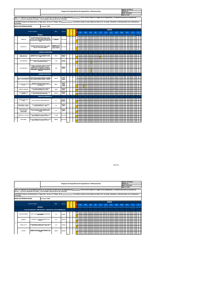 Programa de Capacitacion | PDF | Seguridad y salud ocupacional | ruido