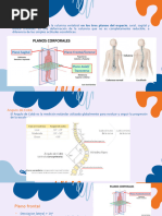 Signo de Risser | PDF | Escoliosis | Rtt