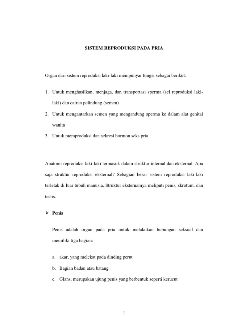 Sistem Reproduksi Pada Pria | PDF