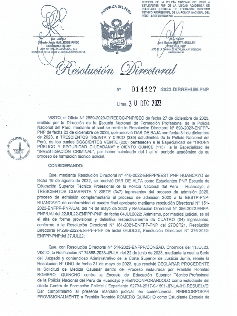 RD Alta 2024 Huancayo PDF | PDF