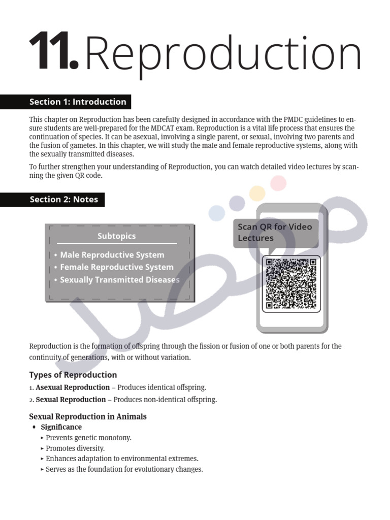 Reproduction (Chapter 11) - The Big Book of MDCAT by Maqsad | PDF | Menstrual Cycle | Ovary