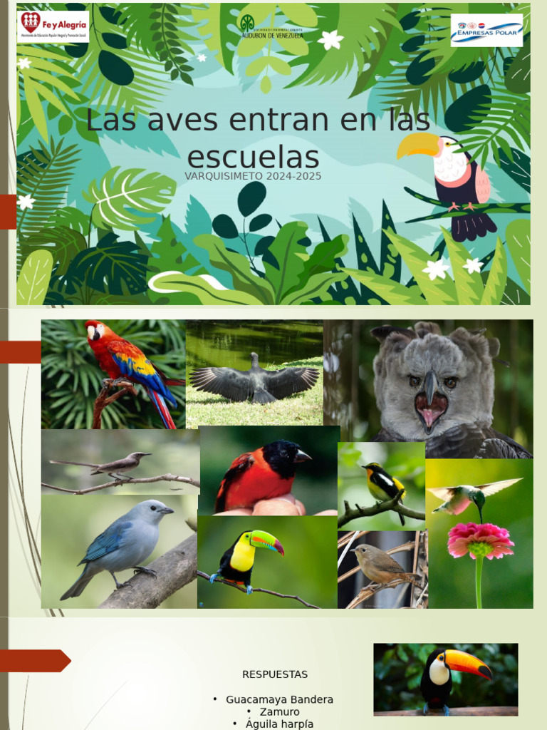 Las Aves Entran en Las Escuelas | PDF | Aves | Venezuela