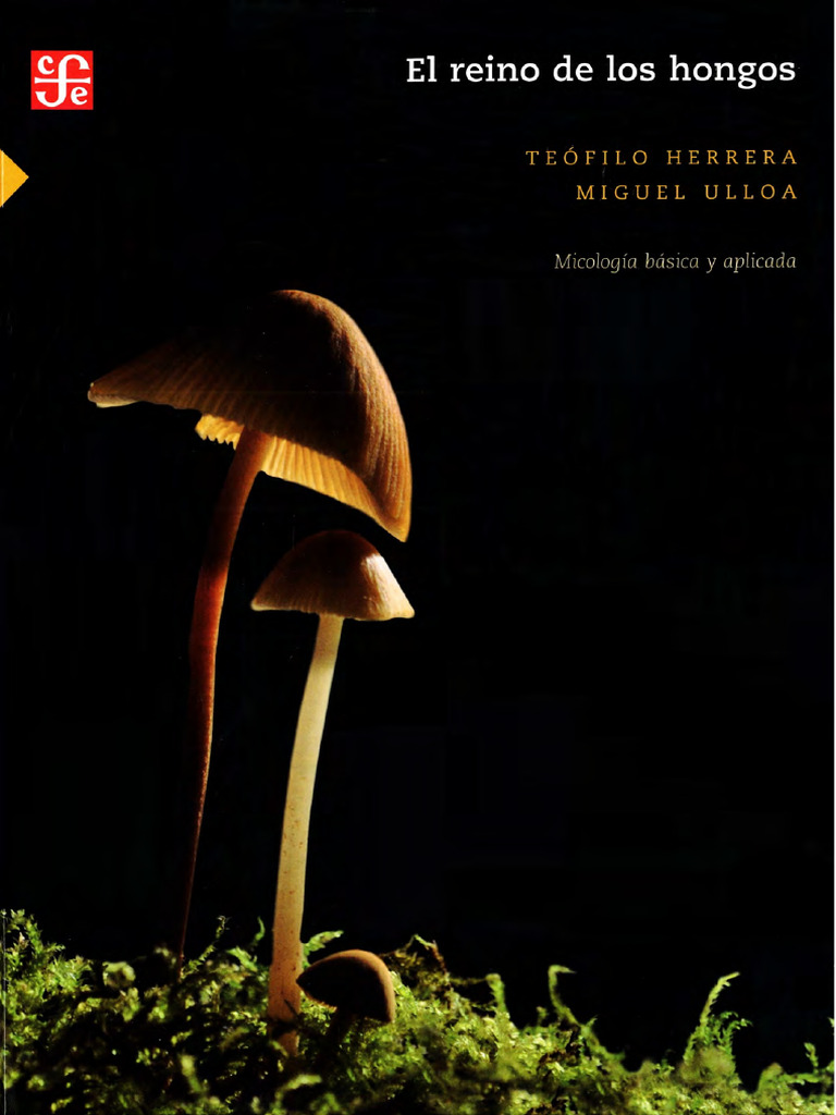 El Reino de Los Hongos. Micología Básica y Aplicada (Teófilo Herrera y ...