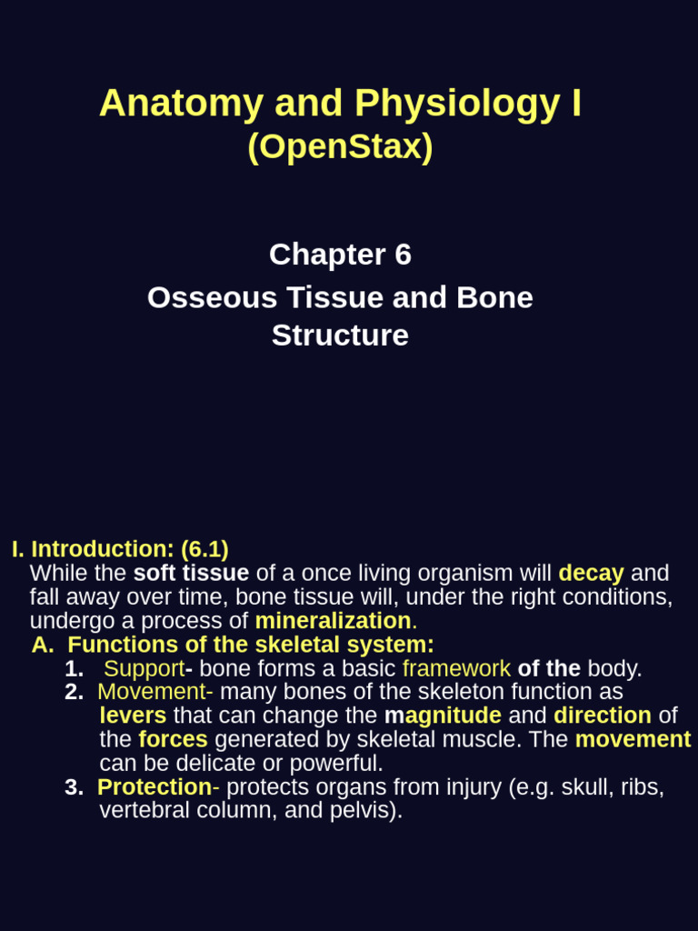API Ppch6 Bonetissue (OpenStax) | PDF | Bone | Osteoblast