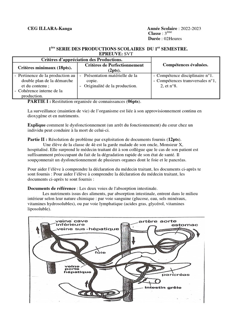 1D1S SVT 3è ILLARA 2022 2023 2 BON | PDF | Foie | Nutrition