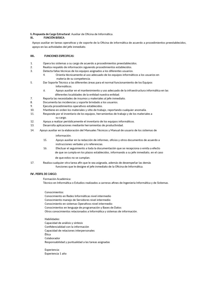 Cargo Estructural Marvin | PDF | Informática | Soporte técnico