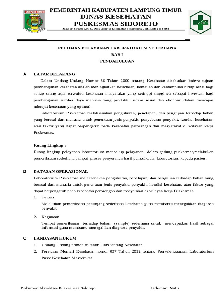 Pedoman Pelayanan Lab | PDF