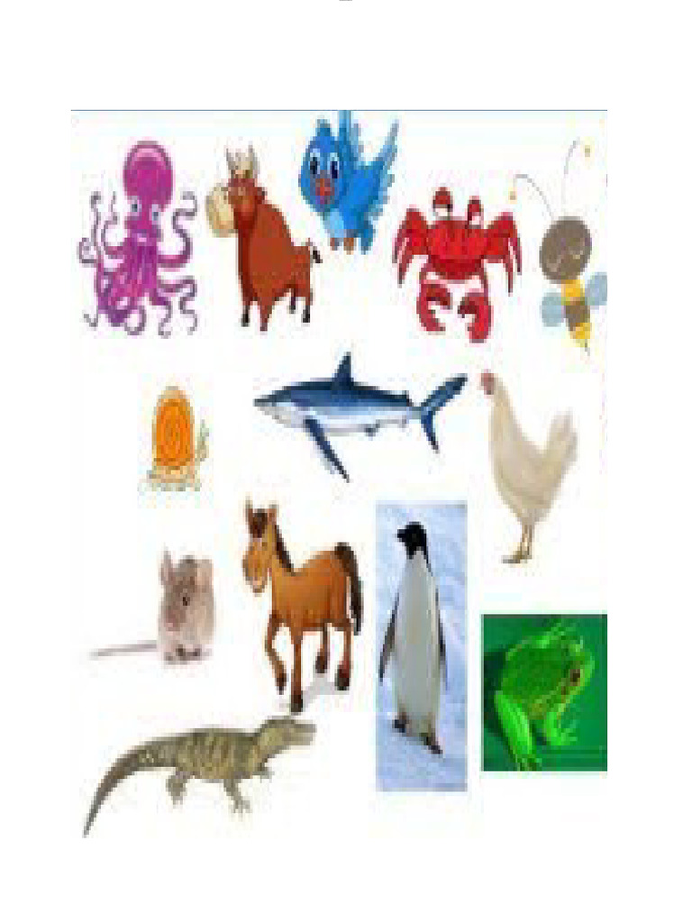 Conocemos A Los Animales Vertebrados 004 | PDF | Hipótesis | Aprendizaje
