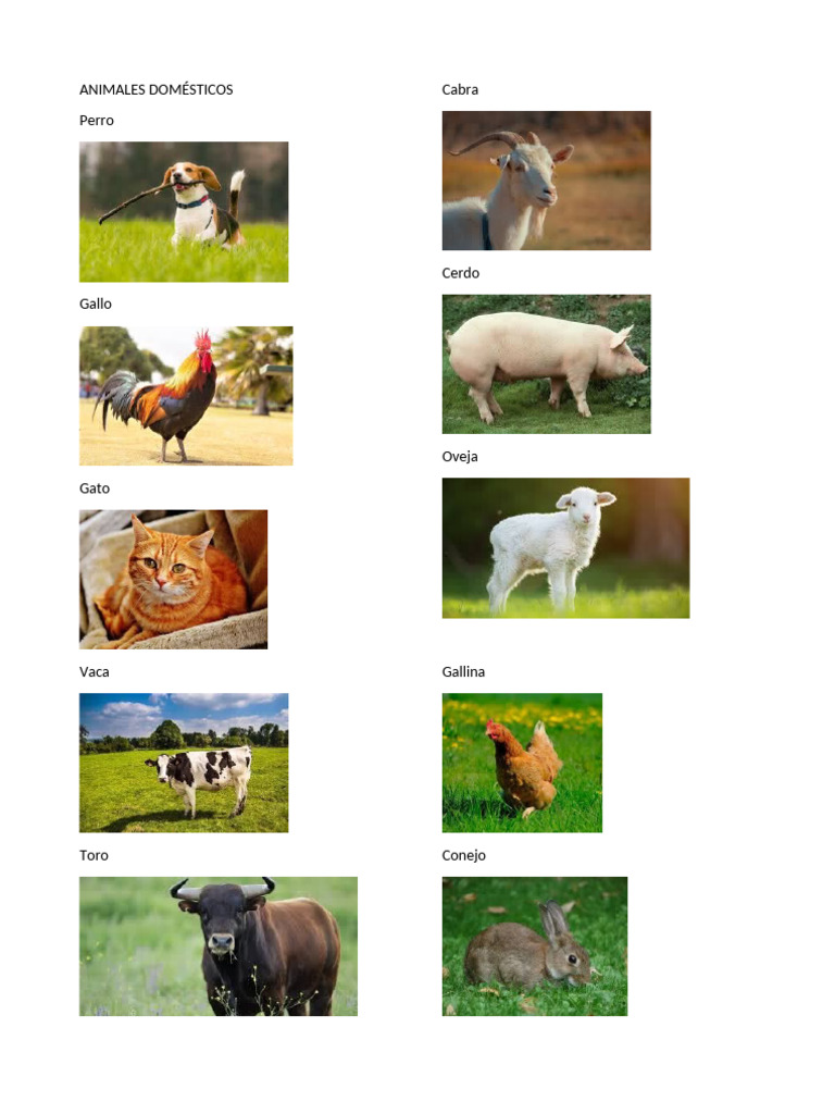 10 Animales Domésticos y Salvajes | PDF