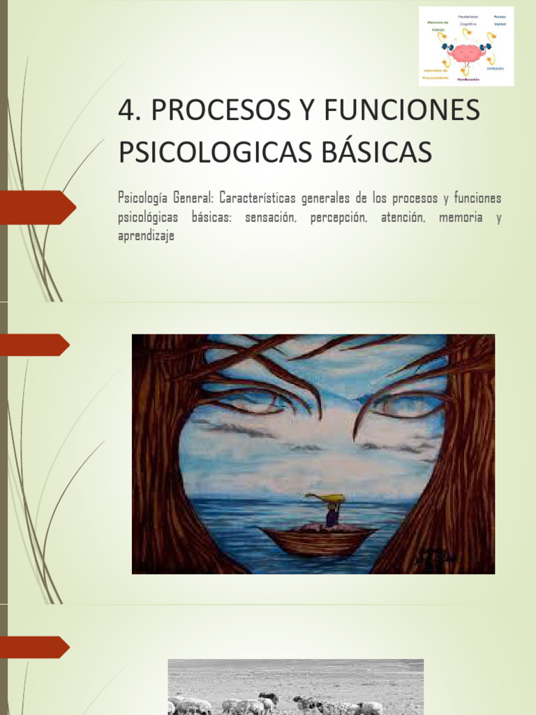 4. Procesos cognitivos basicos | PDF | Memoria | Sentidos