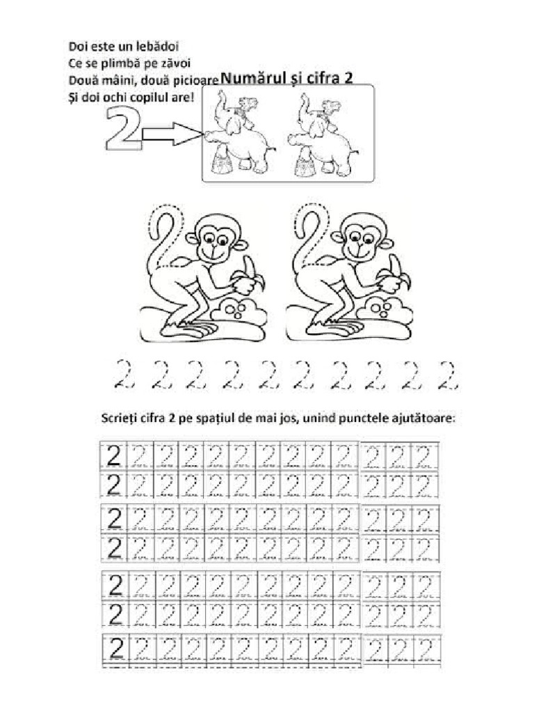 Cifre Si Numere | PDF