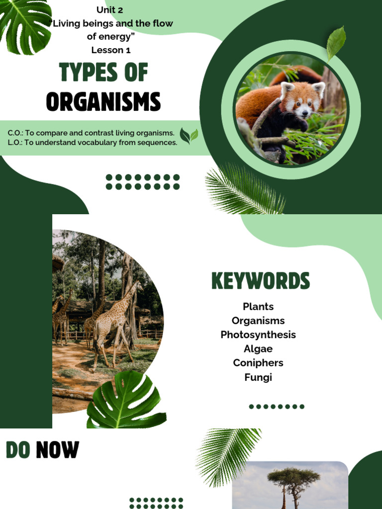 Unit 2 Lesson 1 6th | PDF | Foods | Zoology