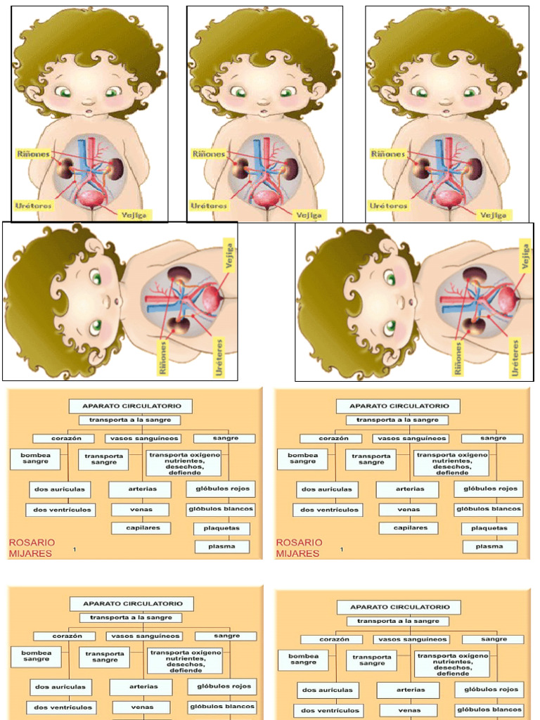 Plantillas CS Nat | PDF
