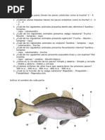 Ficha Técnica Del Pasto Guinea (Panicum Máximum Cv. Guinea Común) | PDF